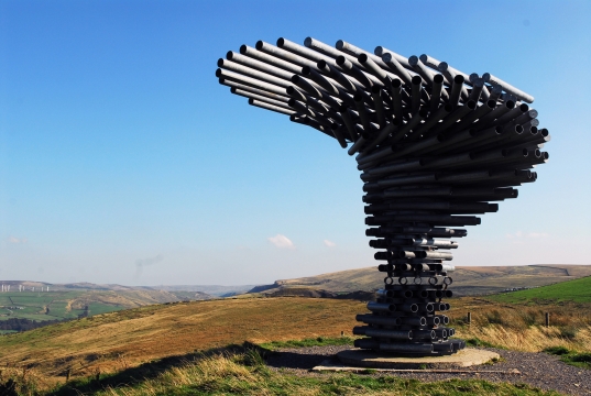 The Singing Ringing Tree – The Whispering Crane Institute
